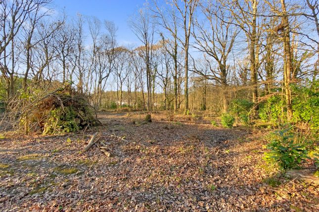 Capel Road, Ruckinge, Ashford, Kent TN26, 4 bedroom detached house for ...