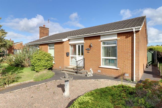 Homes For Sale In Newtownards Buy Property In Newtownards Primelocation