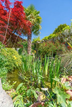 Wilson Road, Hartlebury DY11, 5 bedroom detached house for sale ...