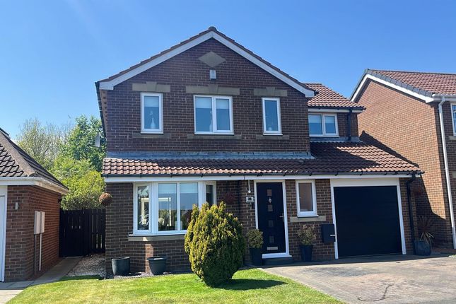 Homes for Sale in Blyth, Northumberland - Buy Property in Blyth ...
