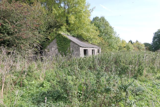 Land for sale in Currabaha, Templederry, Nenagh, Tipperary - 45100995 ...