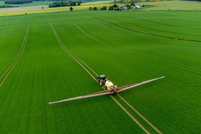 Keig, Alford AB33, land for sale - 61777911 | PrimeLocation