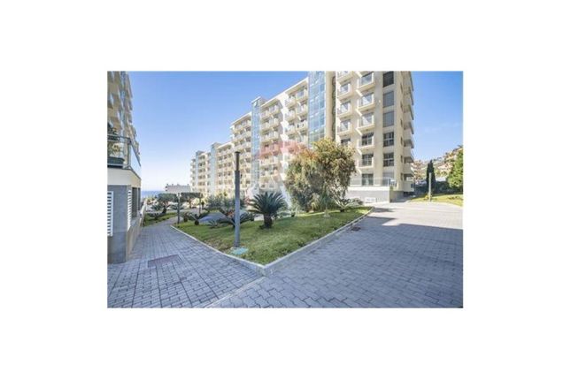São Martinho, Funchal, Ilha Da Madeira, retail premises for sale ...
