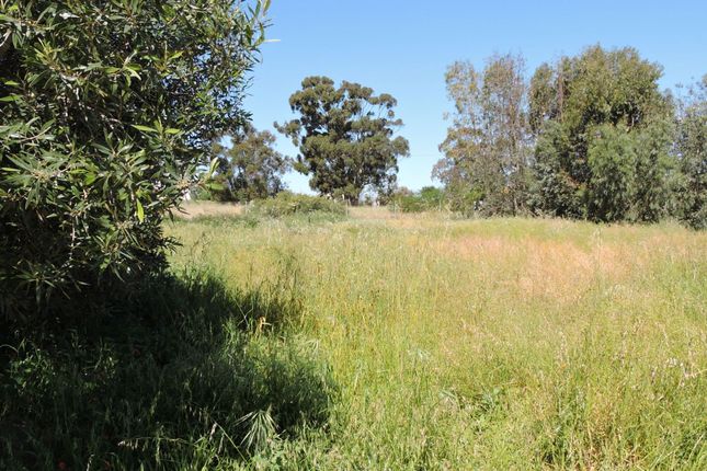 6 Reservoir Street, Hopefield, Western Cape, South Africa, land for ...