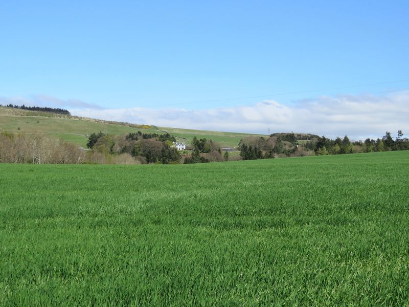 The Granary, Wester Housebyres, Gattonside, Melrose TD6, Land for sale ...