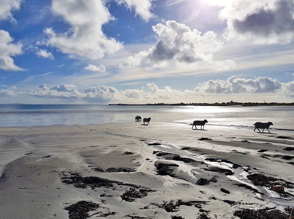 Gott Bay, Kirkapol, Isle Of Tiree PA77, 8 bed detached house for sale ...