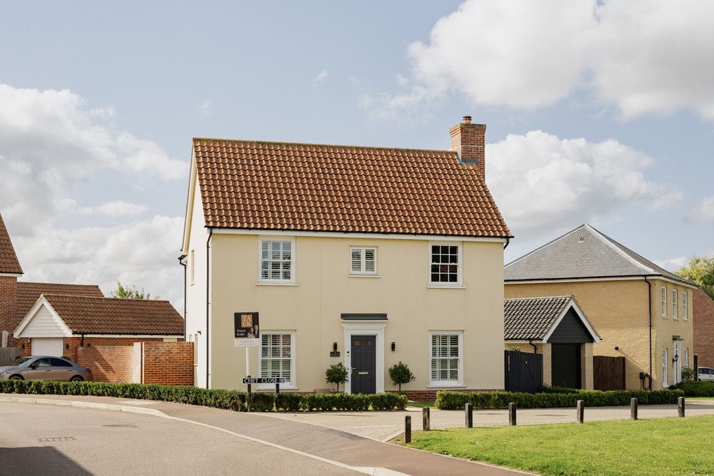 Chet Close, Stoke Holy Cross NR14, 4 bed detached house for sale, £ ...