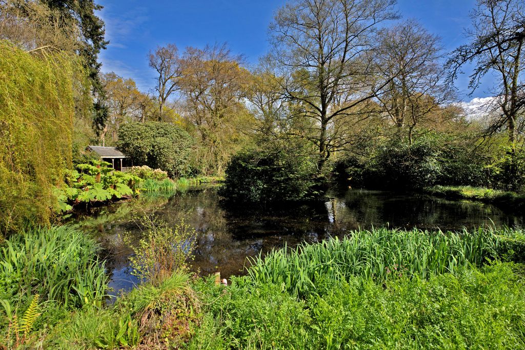 Shobrooke, Crediton, Exeter, Devon EX17, 11 bed detached house for sale ...