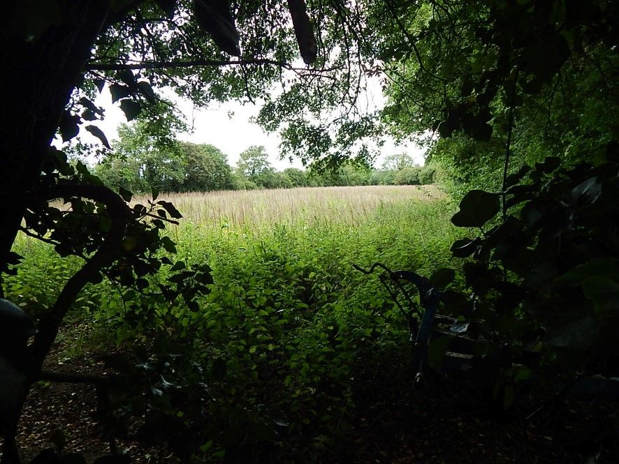 Land Off, Plummers Lane, Saxlingham Nethergate, Norfolk NR15, Land for ...