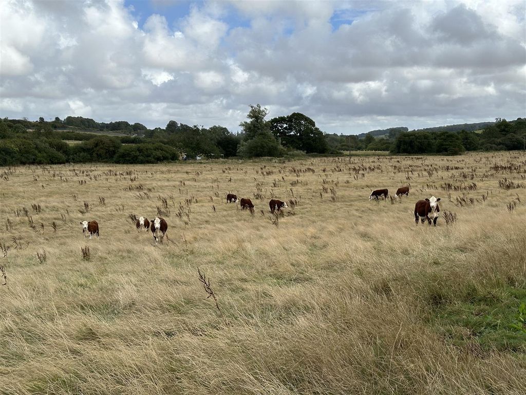 Water Meadow & Grain Store, Cruxton Manor Farm, Maiden Newton ...