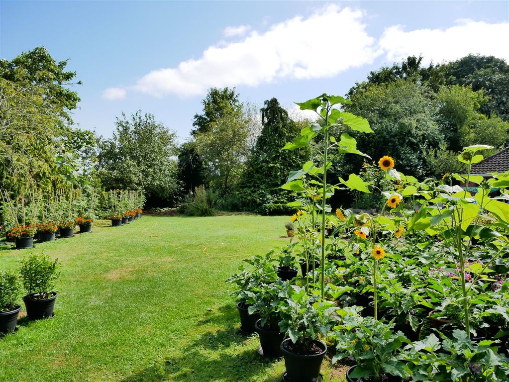 Warren Crescent, Calne SN11, 5 bed detached house for sale, £575,000 ...