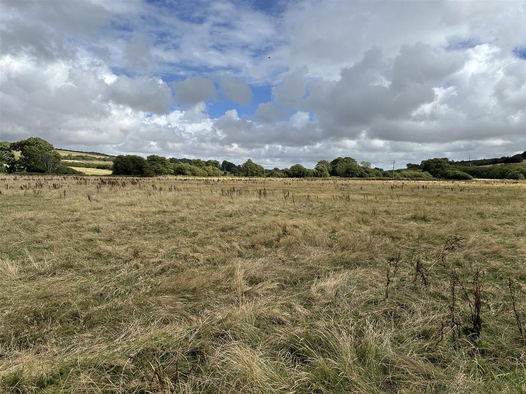 Water Meadow At Cruxton Manor Farm, Maiden Newton, Dorchester DT2, Land ...