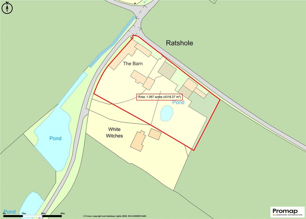 Birch Way, Mundham, Norwich, Norfolk NR14, 4 bed detached house for ...