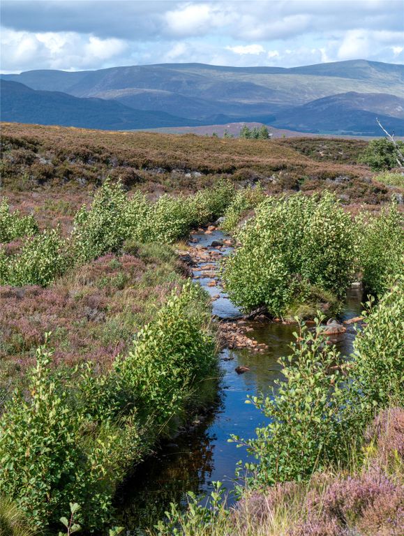 Far Ralia, Newtonmore, Kingussie, Inverness-Shire PH21, Land for sale ...