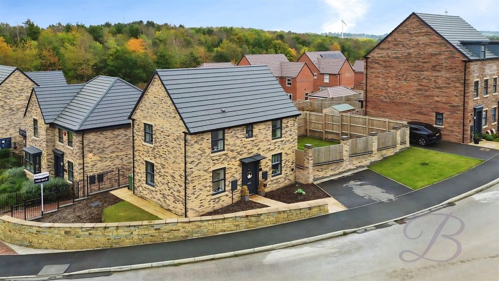 Aspire Way, Inkersall S43, 3 bed detached house for sale, £315,000 ...