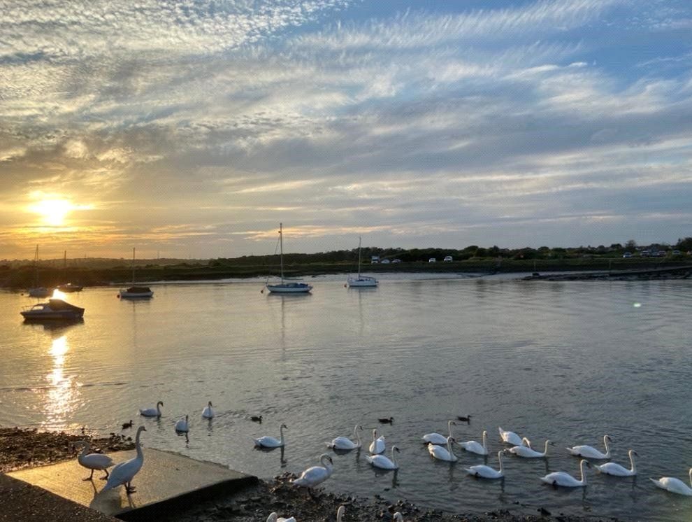 Highfield, Tower Park, Hullbridge, Hockley SS5, 1 bed mobile/park home ...