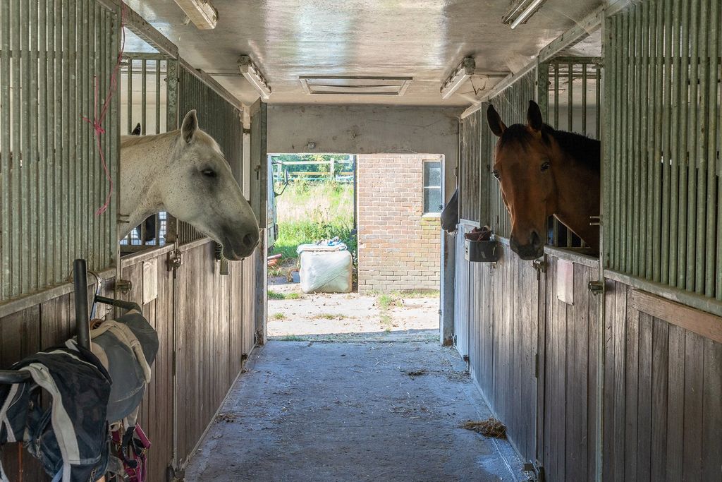 Hunton Down Lane, Winchester, Hampshire SO21, 10 bed detached house for ...