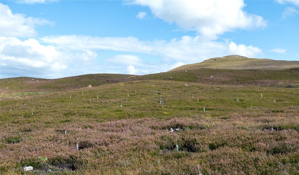 Far Ralia, Newtonmore, Kingussie, Inverness-Shire PH21, Land for sale ...