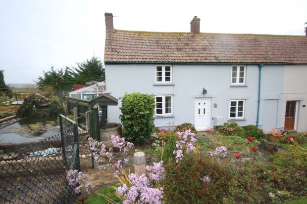 4 bed semi-detached house for sale in Rodway, Cannington, Bridgwater ...