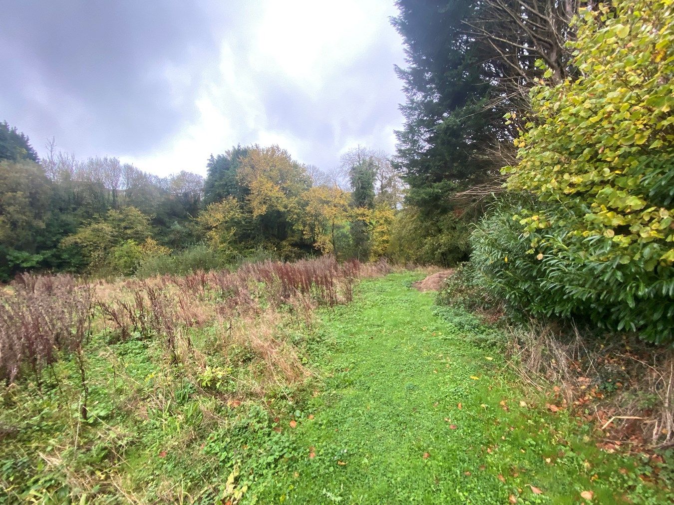 Detached house for sale in Meidrim, Carmarthen SA33 - Zoopla