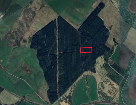 Land for sale in Plot 45, Cartland Muir, Lanark, Lanarkshire ML11, £ ...