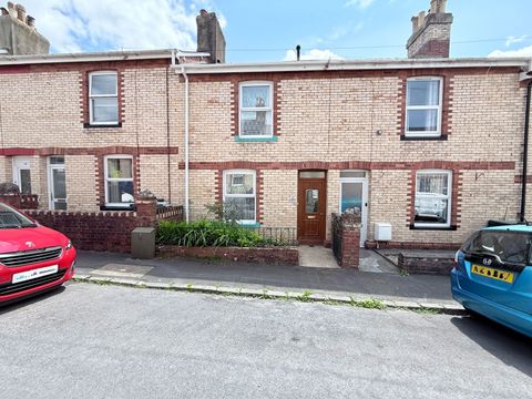 Netley Road, Newton Abbot TQ12, 3 bed terraced house for sale, £210,000 ...