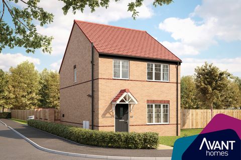 New home, 3 bed detached house for sale in "The Cadeby" at Newtons Lane ...