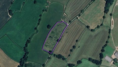 Awliscombe, Honiton EX14, Land for sale, £75,000 - Zoopla