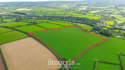 Dolgoch, Brongest SA38, Property for sale, £300,000 - Zoopla