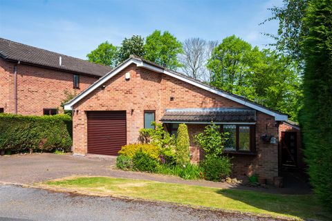 Hazel Court, Dronfield S18, 5 bed detached bungalow for sale, £565,000 ...
