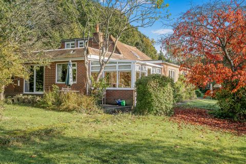 3 bed detached bungalow for sale in Common Road, Hadlow, Tonbridge TN11 ...