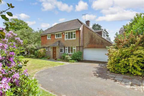 The Paddock, Lyminster, Littlehampton, West Sussex BN17, 4 bed detached ...