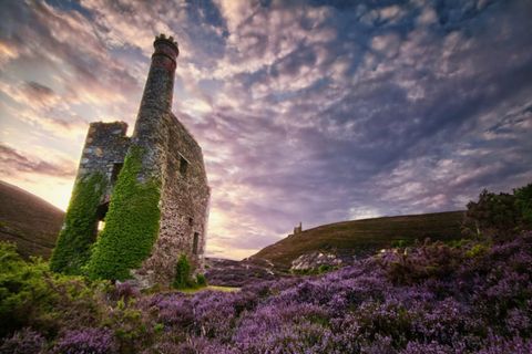 Wheal Ellen Mine, Truro TR4, Land for sale, £34,500 - Zoopla