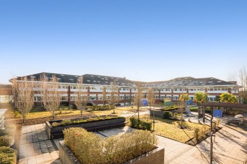 Lime Tree Way, Chineham, Basingstoke RG24, 2 bed flat to rent, £1,200 ...