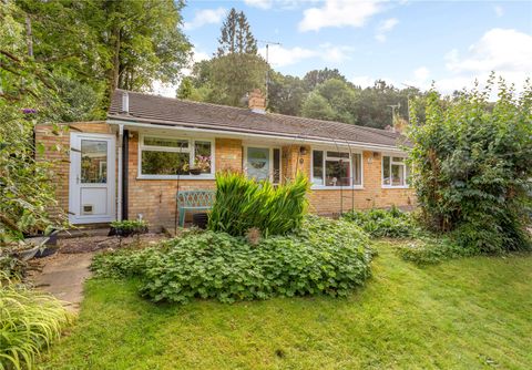 3 bed semi-detached bungalow for sale in Medstead Road, Beech, Alton ...