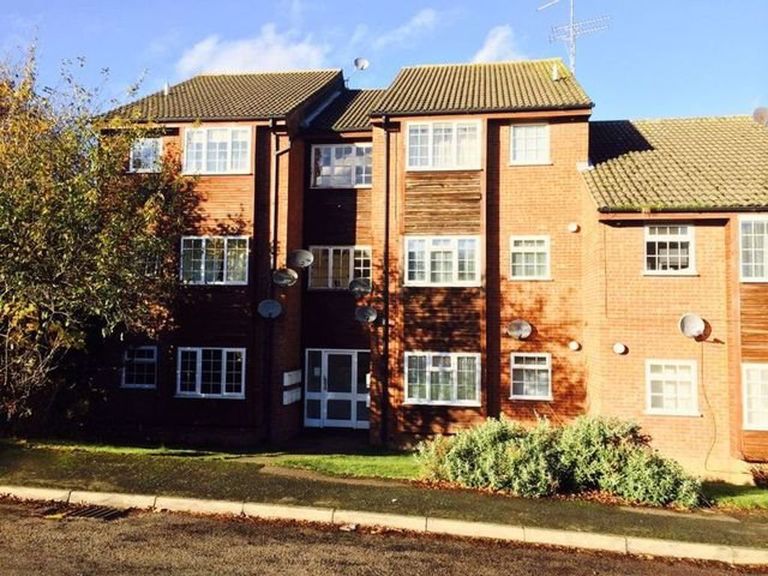 Studio to rent in St. Peters Close, Daventry NN11 - Zoopla